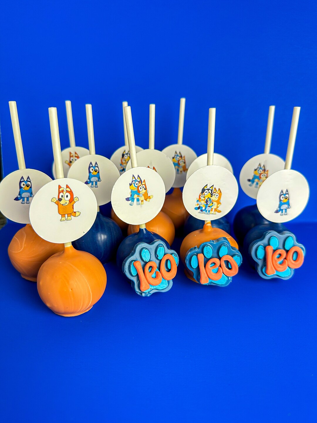 Bluey Cake Pops Birthday Gifts Treats (12) - Etsy