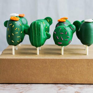 Cactus Cake Pops - Etsy