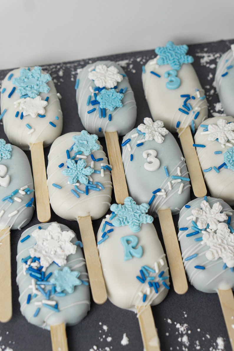 Winter Frozen Snow Cakesicles - Etsy