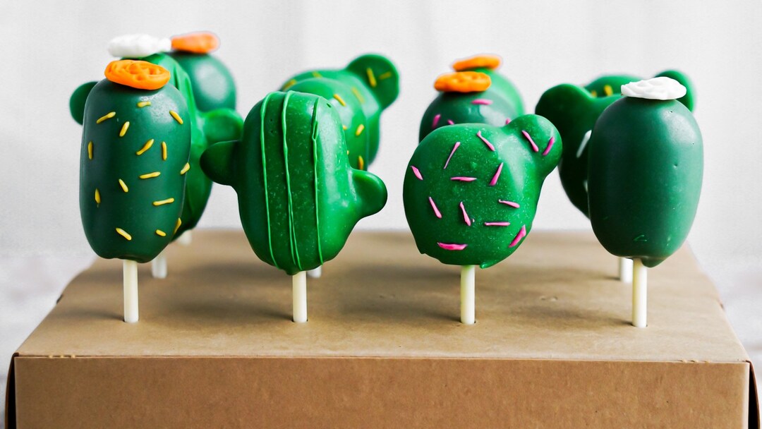 Cactus Cake Pops - Etsy