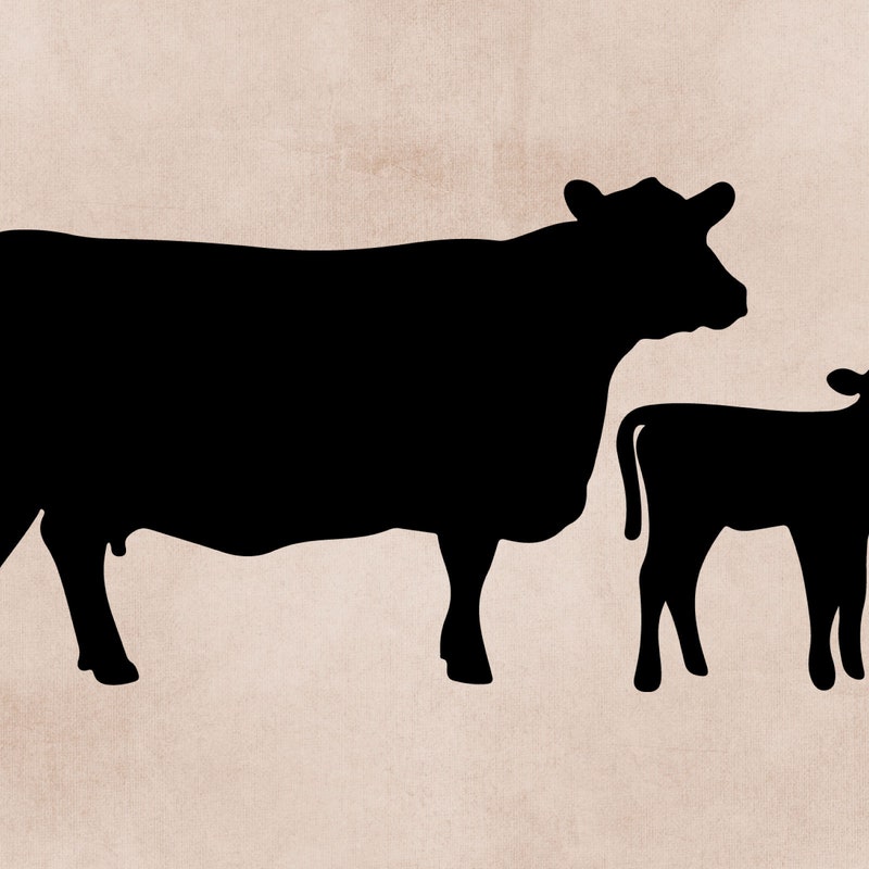 Cow Svg - Etsy