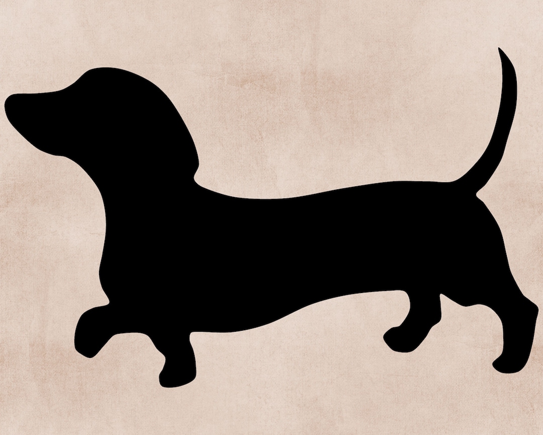 Dachshund Svg, Dog Svg, Cricut, Dog Pet Png, Dachshund Outline Png ...