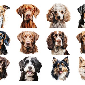 Buy 2 Get 1 Free - 280 Dogs Clipart Bundle, Cute Dog Breed Illustration ...