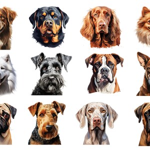 Buy 2 Get 1 Free - 280 Dogs Clipart Bundle, Cute Dog Breed Illustration ...