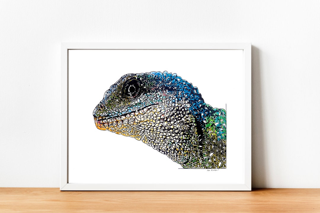 Lezard A4 Poster Limited Edition Animal Portrait Drawing Animal Art ...