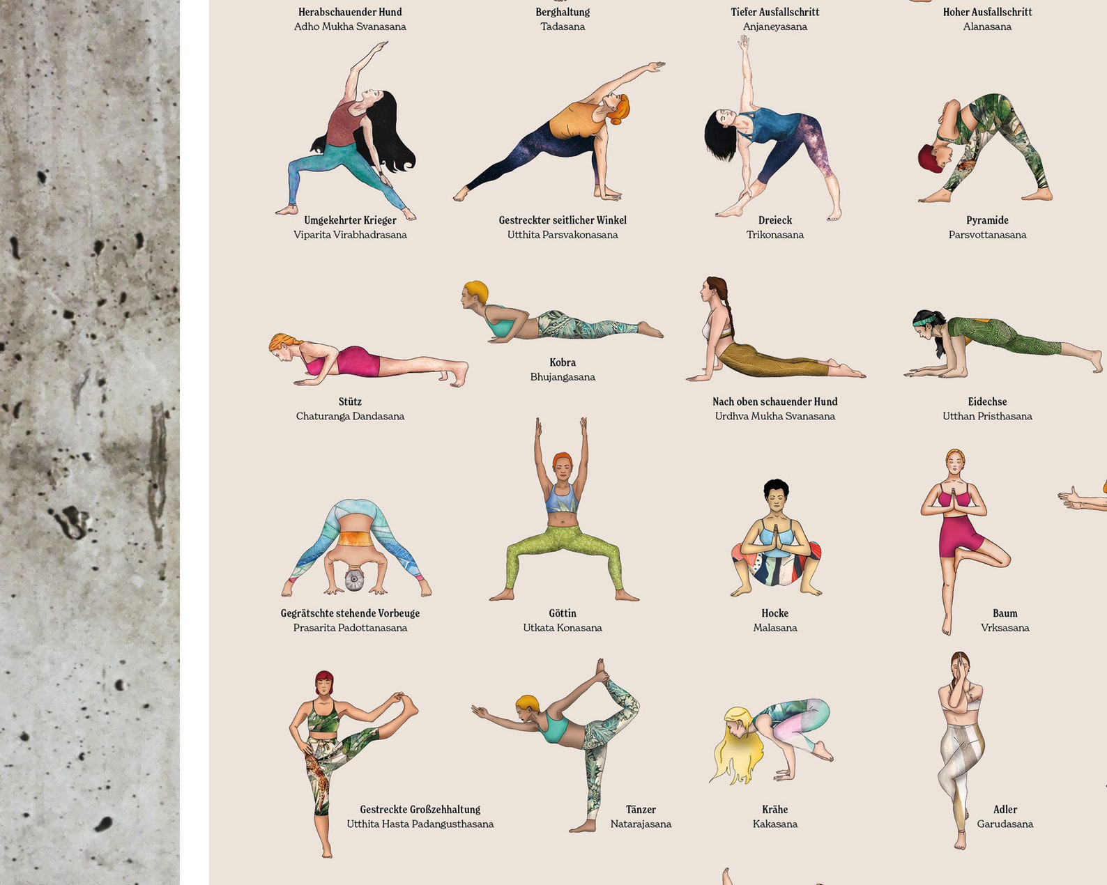 Yoga Poster, Asana Poster, Yoga Poses, Gift for Yoga Teacher, Yoga Wall ...