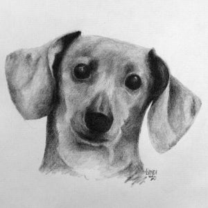 Art & Collectibles Drawing & Illustration sample shown Charcoal Dog ...