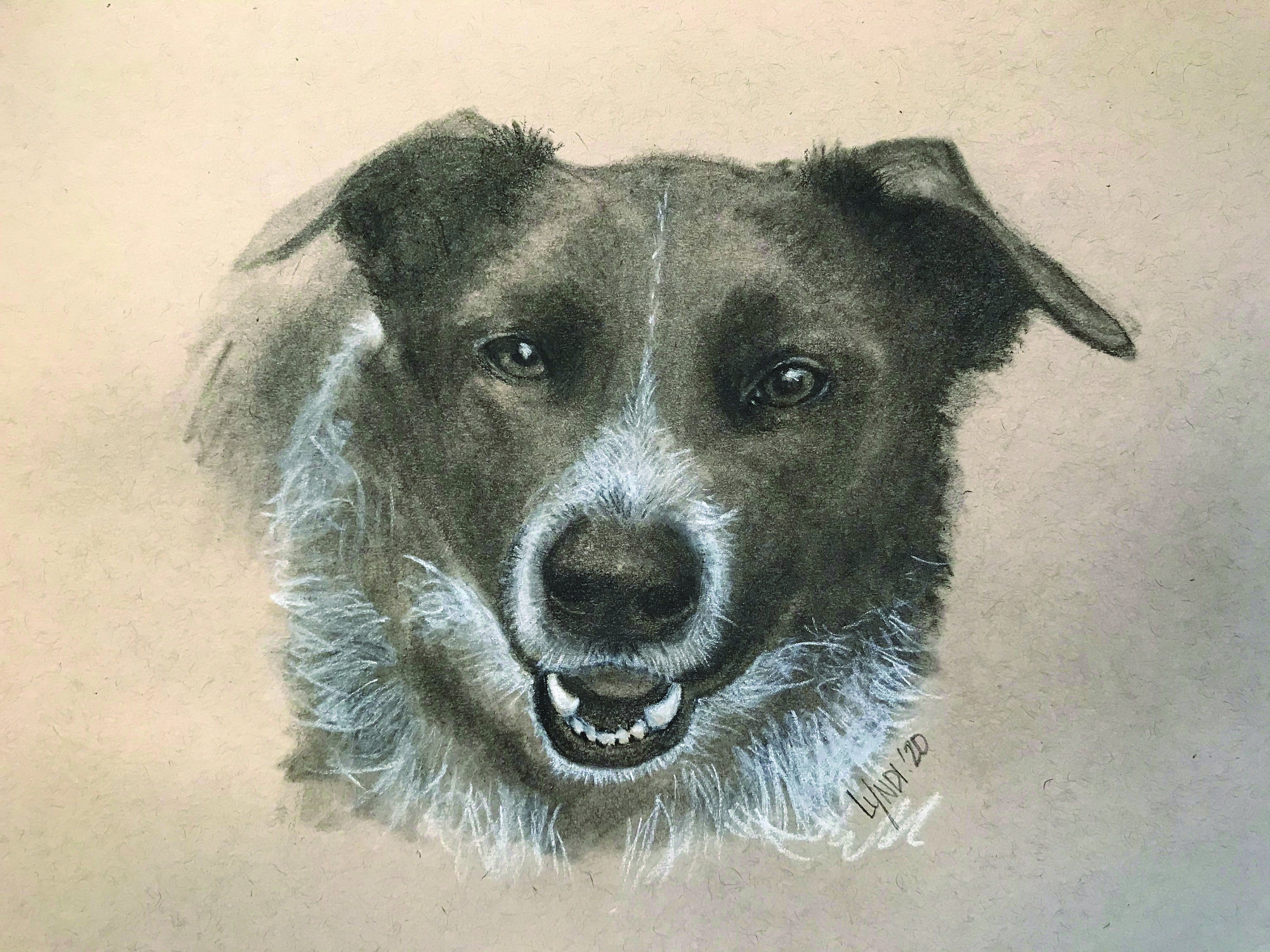 Art & Collectibles Drawing & Illustration sample shown Charcoal Dog ...