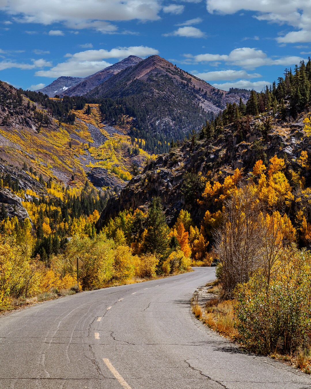 Bishop Fall Color - Etsy