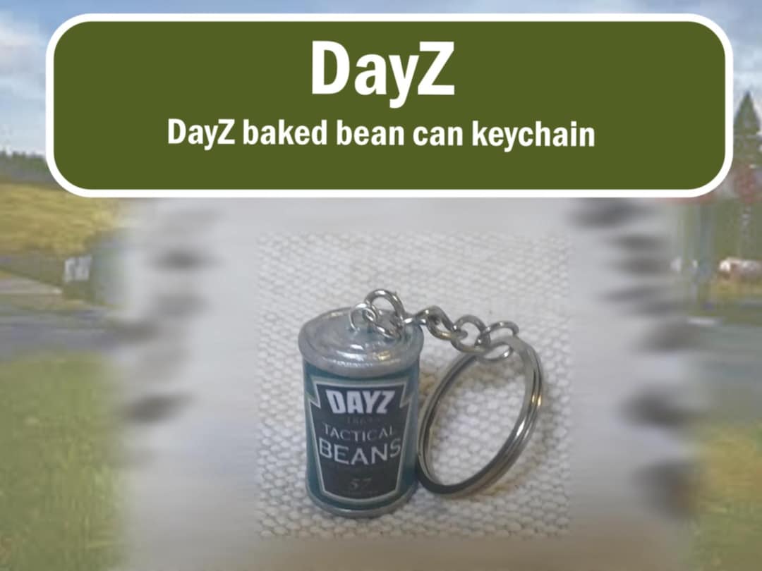 Dayz Baked Bean Tin Can Keychain - Etsy