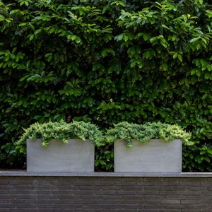 Premium Large Grey Rectangular Concrete Window Box Planter Outdoor ...