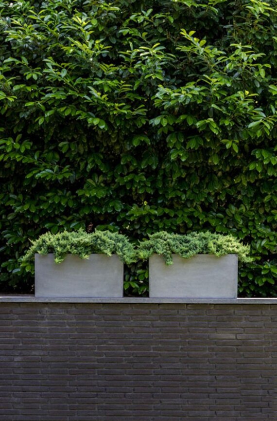 Premium Large Grey Rectangular Concrete Window Box Planter - Etsy UK