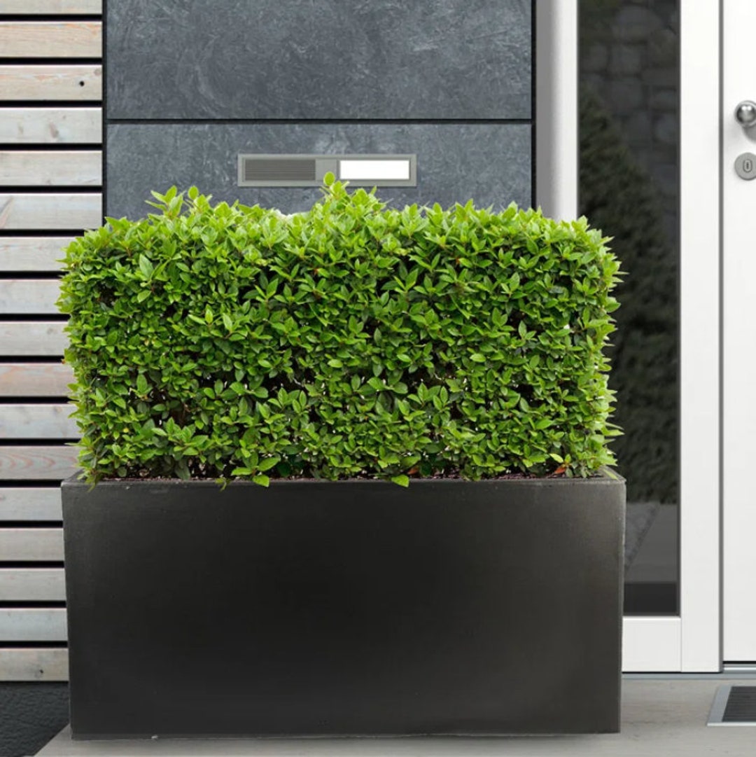 Premium Large Black Rectangular Concrete Window Box Planter Outdoor ...