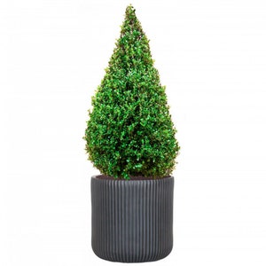 Black Ribbed Concrete Stone Cylindrical Planter Pot Modern Contemporary ...