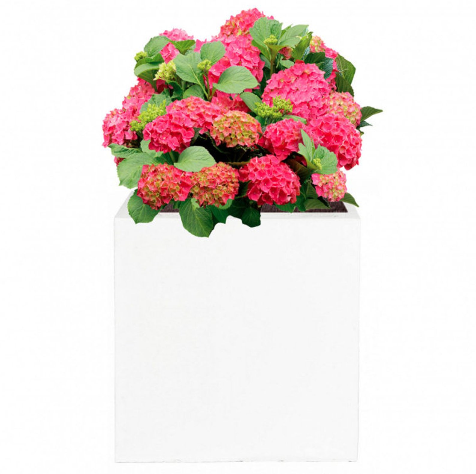 White Handmade Cuboid Square Concrete Planter Pot Flowers - Etsy UK