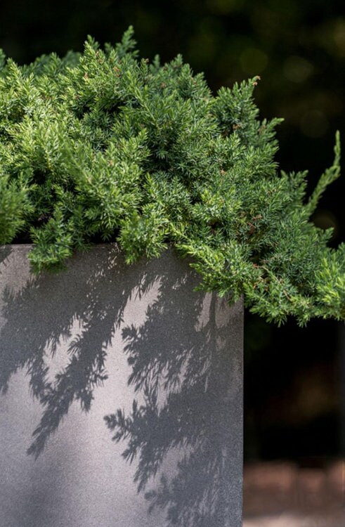 Premium Large Grey Rectangular Concrete Window Box Planter - Etsy UK