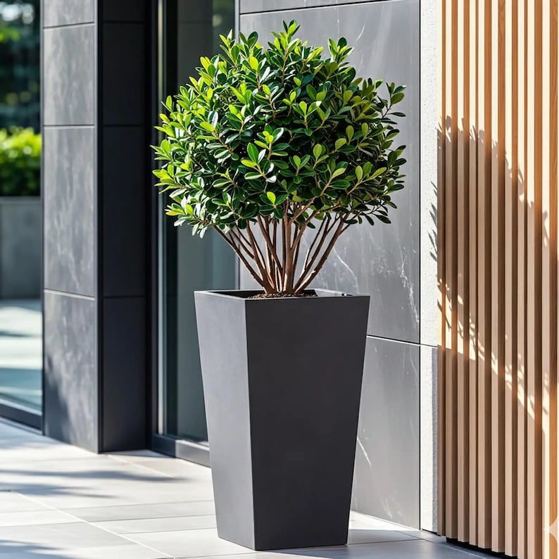 Dark Grey Tall Outdoor Planter Round Concrete Garden Pot Large Vertical ...