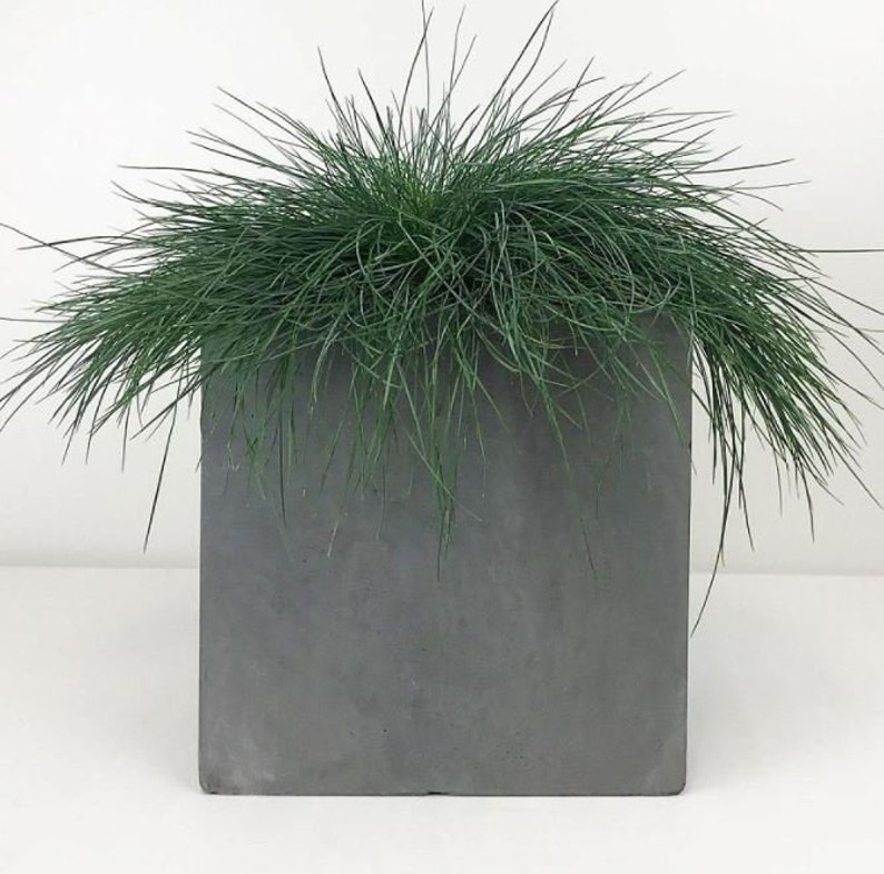 Light Grey Handmade Cuboid Square Concrete Planters Pots | Etsy