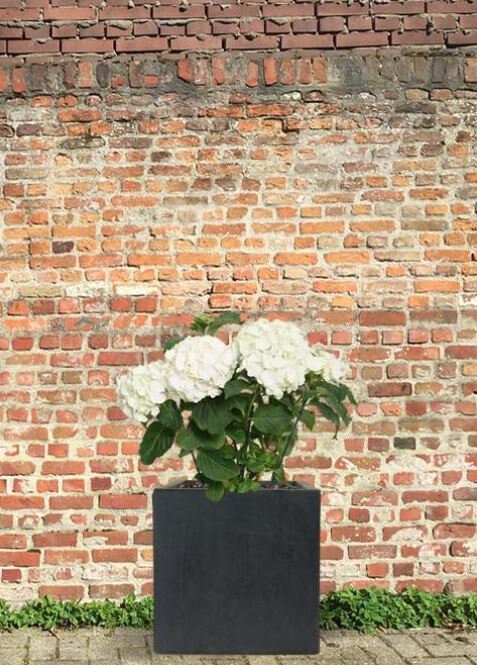 Dark Grey Handmade Cuboid Square Concrete Planter Pot Flowers | Etsy UK