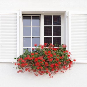 Premium Large Black Rectangular Concrete Window Box Planter Outdoor ...