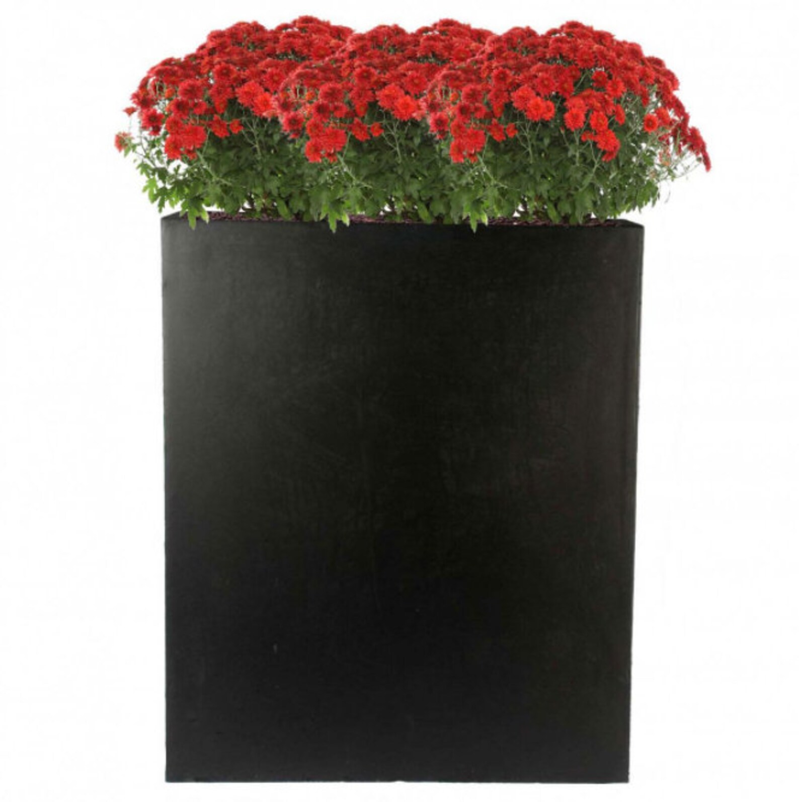 Black Narrow Concrete Planters Space Efficient Raised Flower - Etsy
