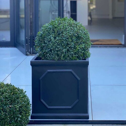 Dark Grey Handmade Cuboid Square Concrete Planter Pot Flowers - Etsy UK
