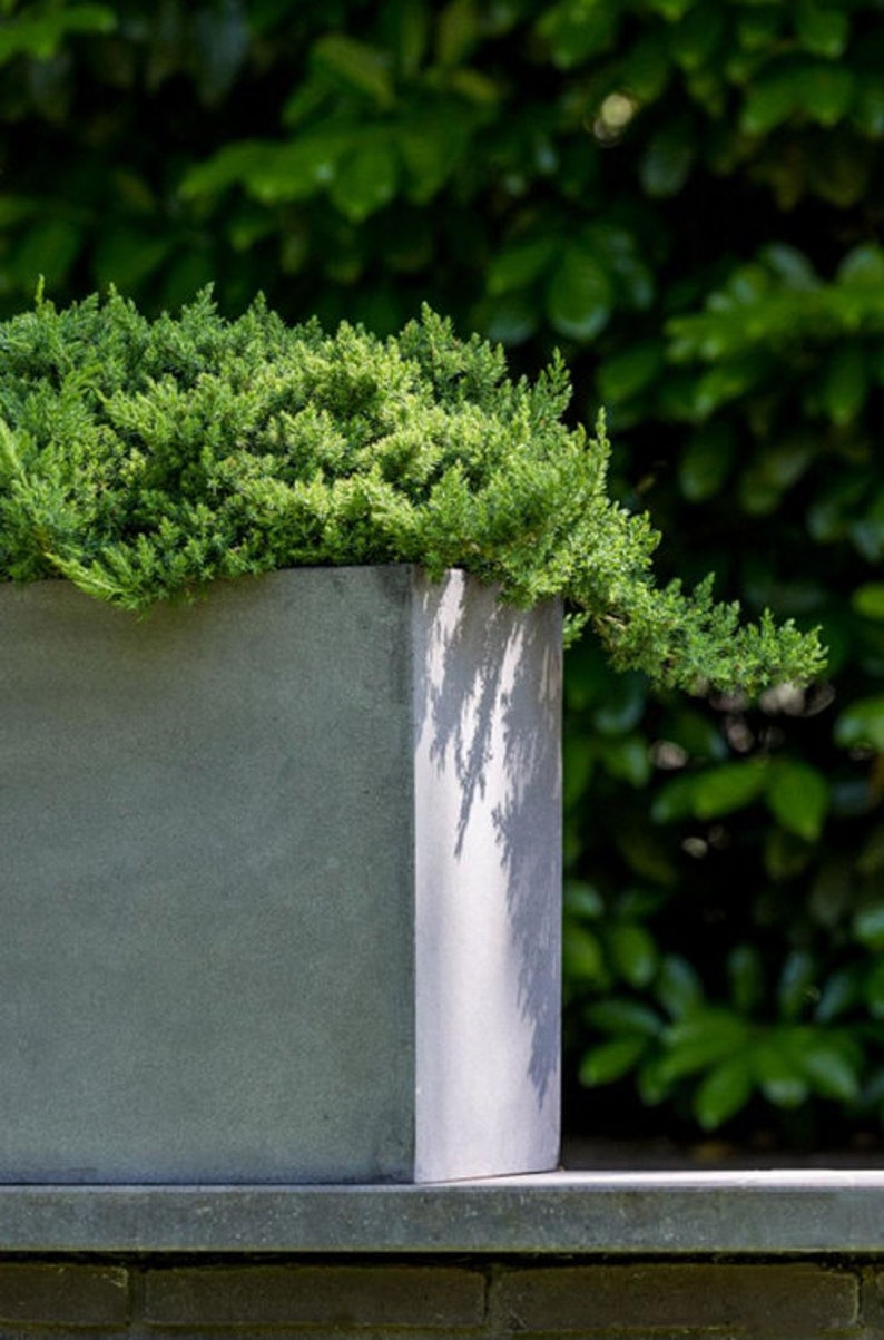 Premium Large Grey Rectangular Concrete Window Box Planter - Etsy UK