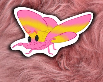 Rosy Maple Moth Sticker - Etsy