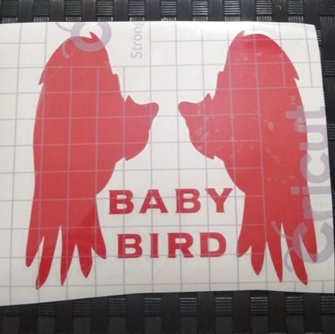 Baby Bird Hawks Car Window Wall Decal - Etsy