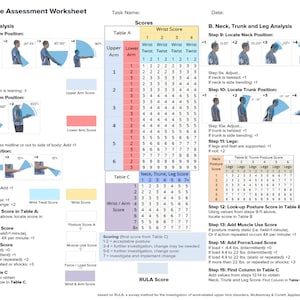 2 Ergonomics Poster & RULA Employee Assessment Record, Human Resources ...