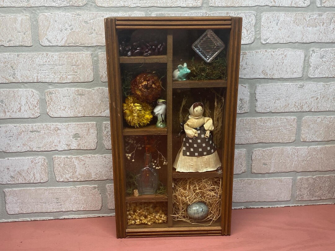 Display Shadow Box, Collectible Vintage Wall Decor Display, Home Decor ...