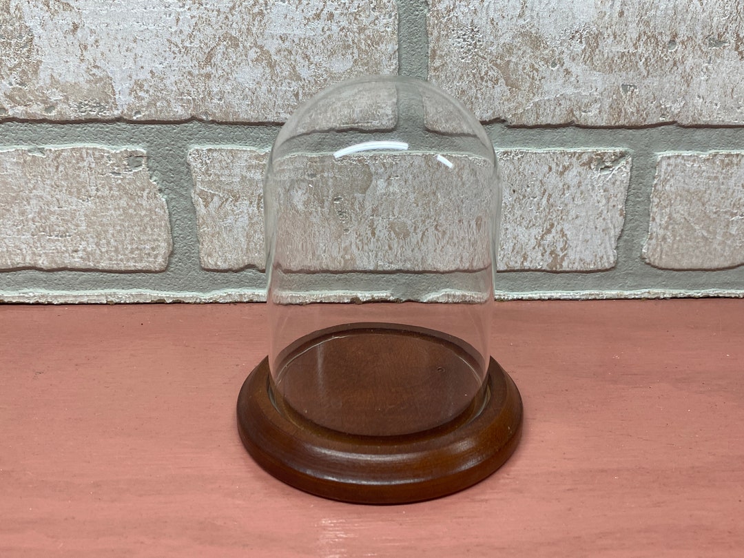 Small Cloche Display, Vintage Glass Display Piece With Wood Base - Etsy