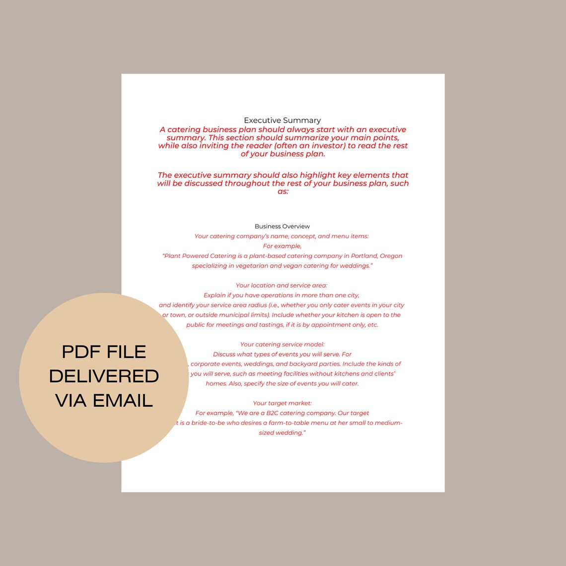 Catering Business Plan Template. Instant Print & Editable Catering Plan ...