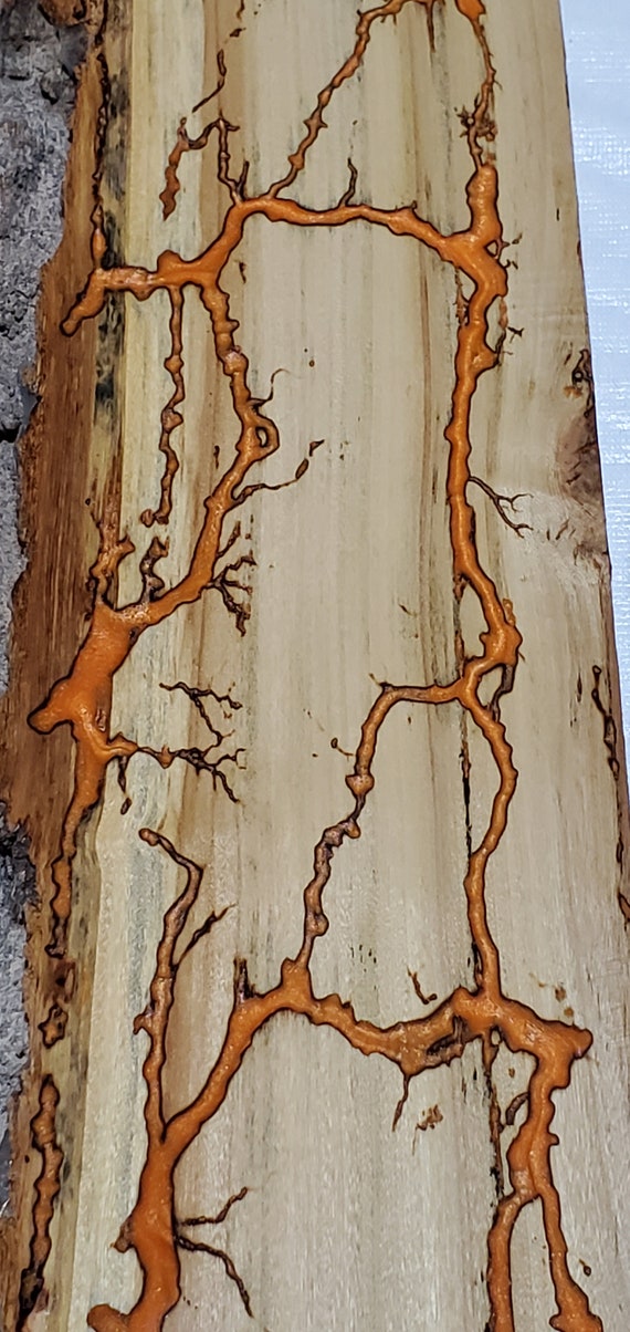 Live Edge Fractal Burn With Orange Pearl Epoxy on Jasper Slab - Etsy