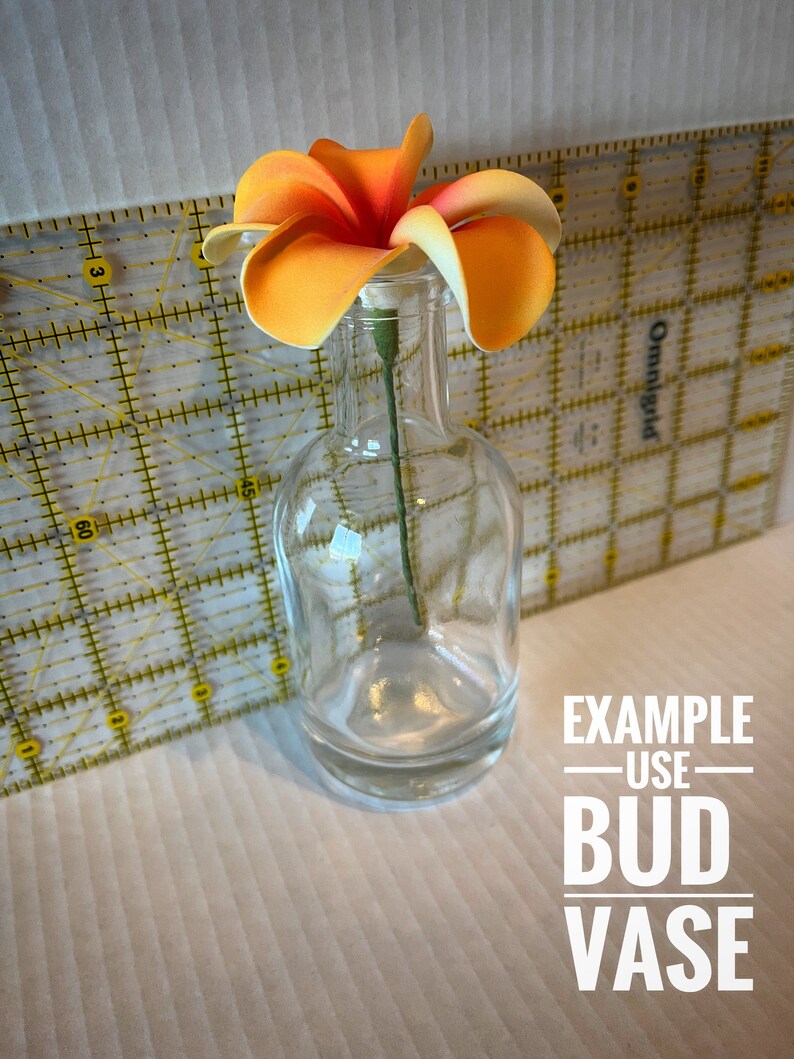 Small Glass Bottles (8 Oz Capacity) - Etsy