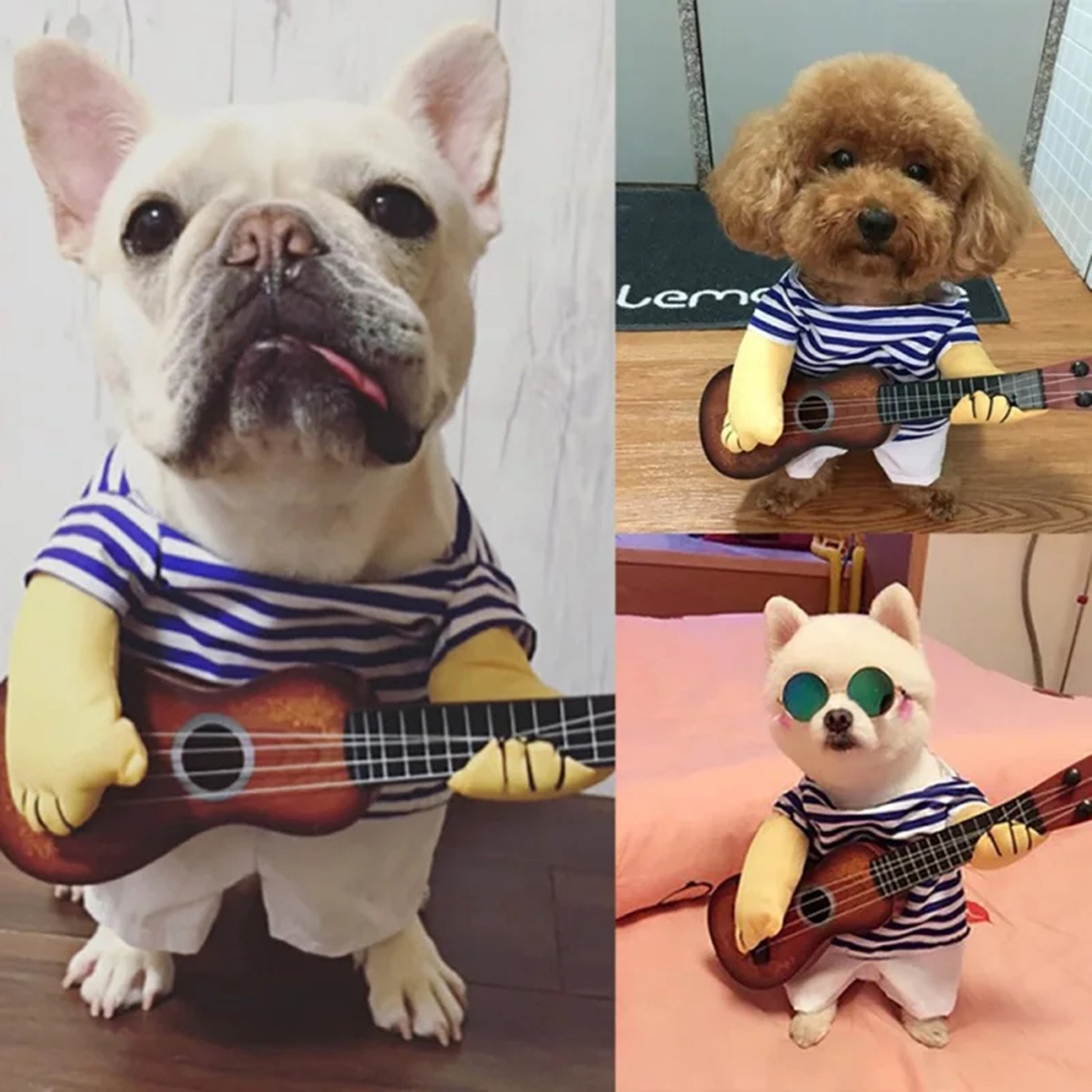 GUITARIST PET COSTUME Pet Costume, Musician Costume, Pet Cosplay ...