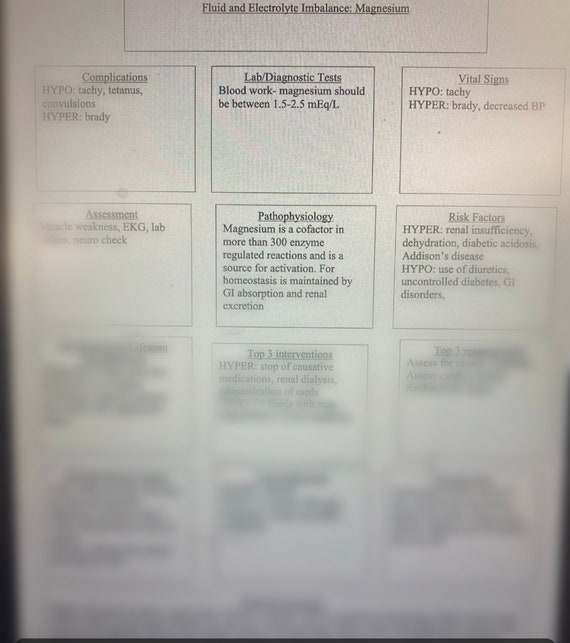 Fluid and Electrolyte Concept Map: Magnesium - Etsy