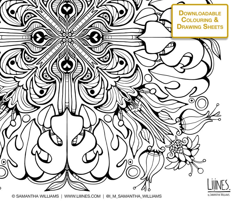 Monstera Mandala - Downloadable, Printable Colouring & Drawing Sheets ...