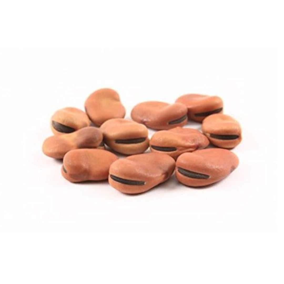 Mojo Wish Beans - 1 Oz Wish Beans Approx 10-12 Wish Beans Good Luck ...