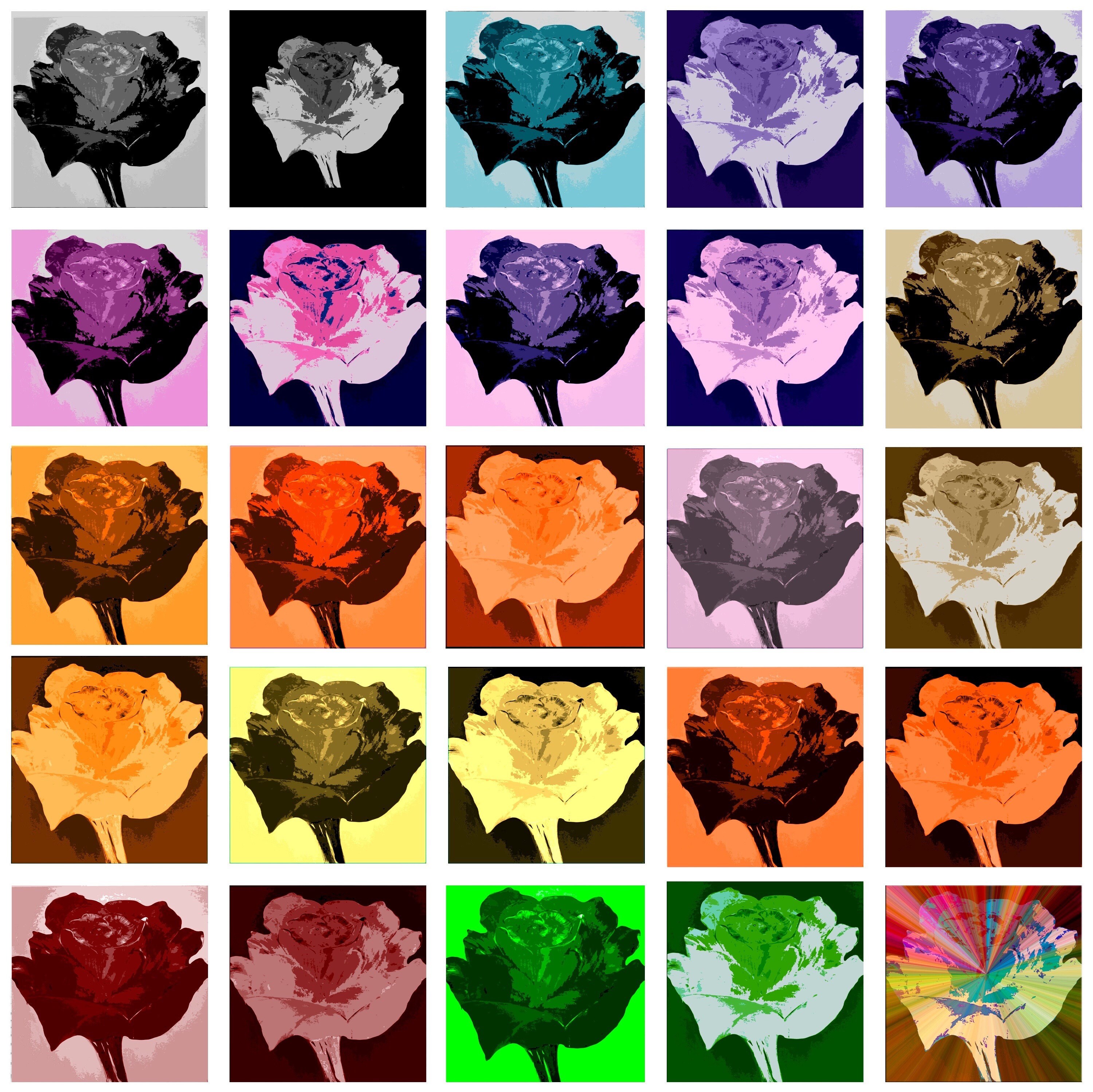 Pop Art Rose Print - Etsy