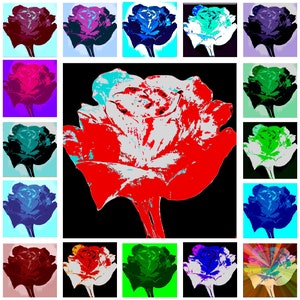 Pop Art Rose Print - Etsy