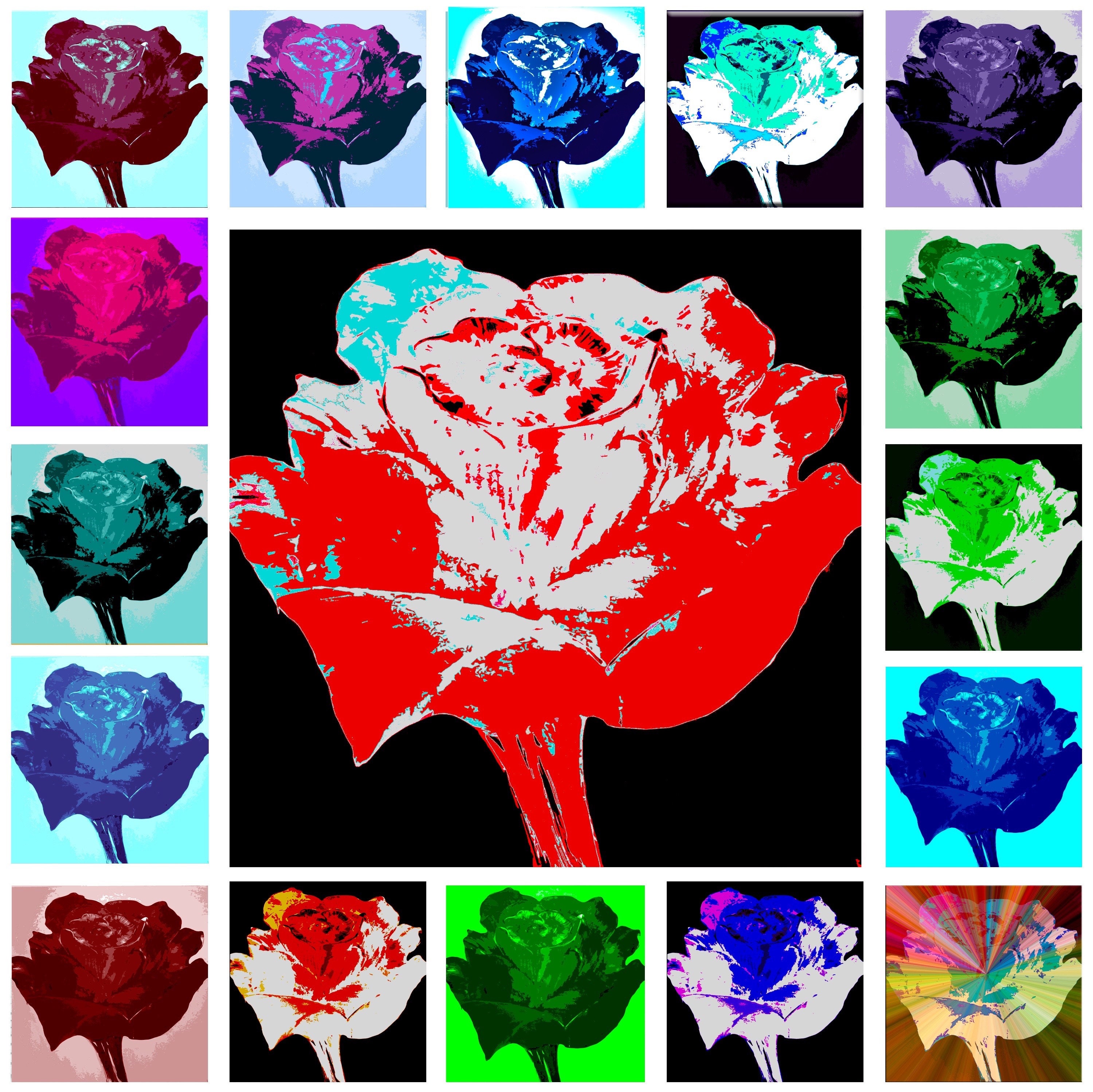Pop Art Rose Print - Etsy
