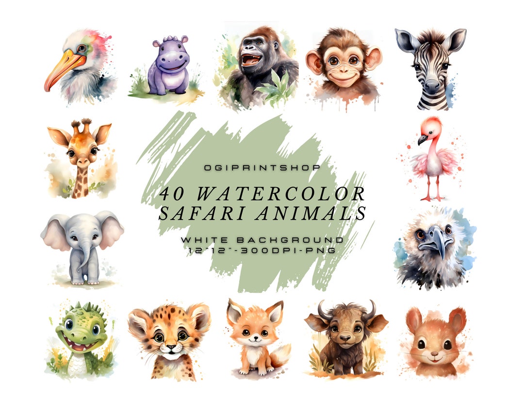40 Watercolor Safari Animals PNG Clipart, High Quality Baby Animals for ...