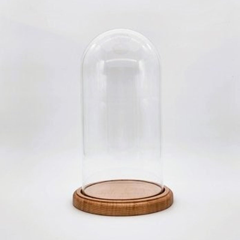 Glass Dome Display - Etsy
