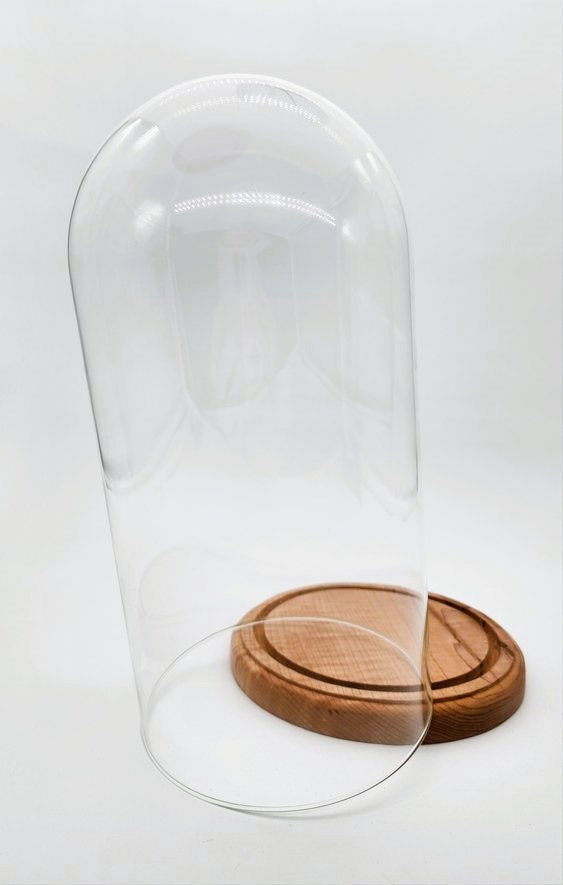 Glass Dome Display Case With Maple Wood Base, Bell Jar/cloche - Etsy