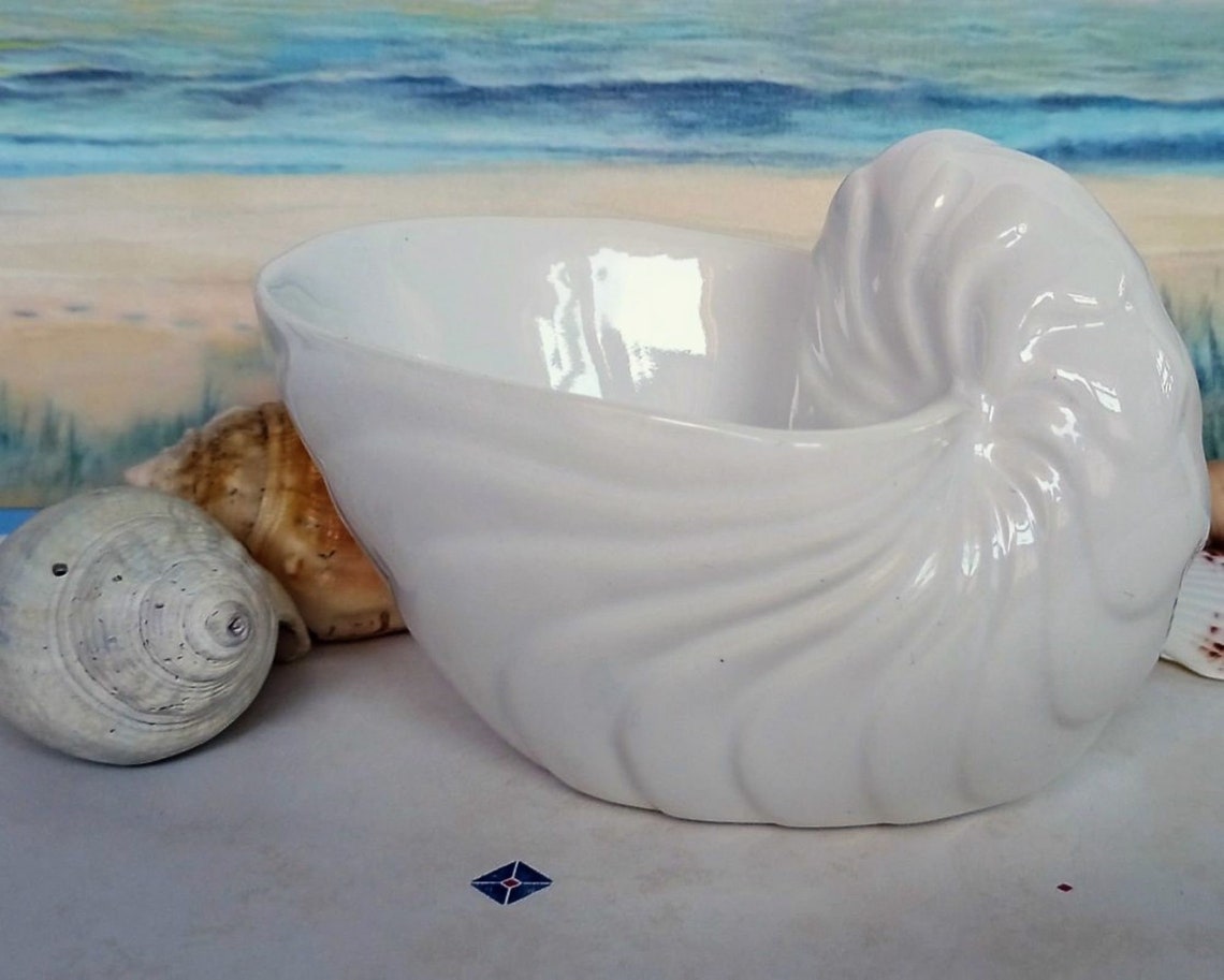 Porcelain Nautilus Seashell Trinket Dish Beach House Decor - Etsy