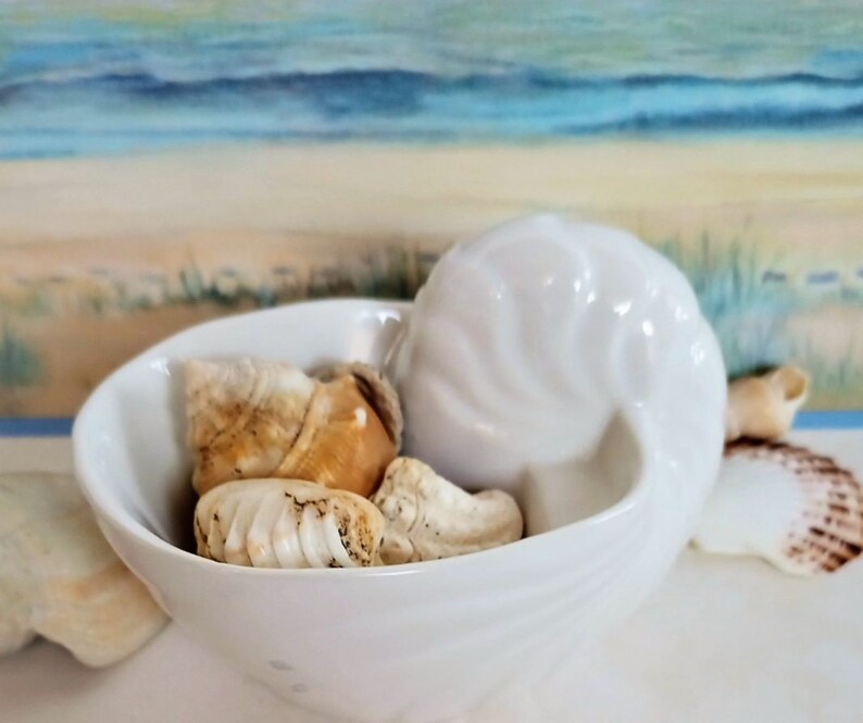 Porcelain Nautilus Seashell Trinket Dish Beach House Decor - Etsy