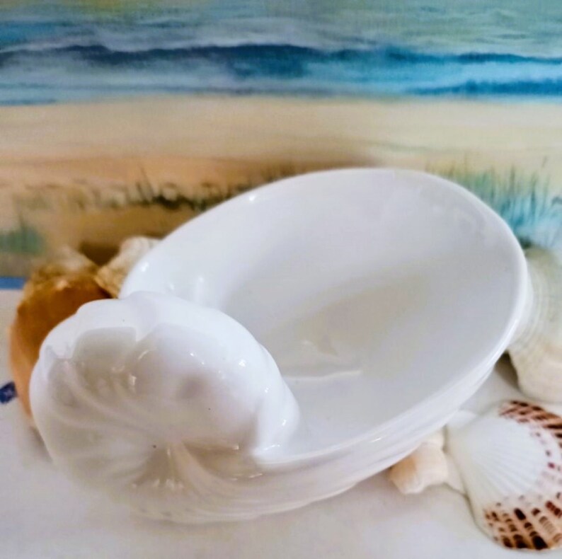 Porcelain Nautilus Seashell Trinket Dish Beach House Decor - Etsy
