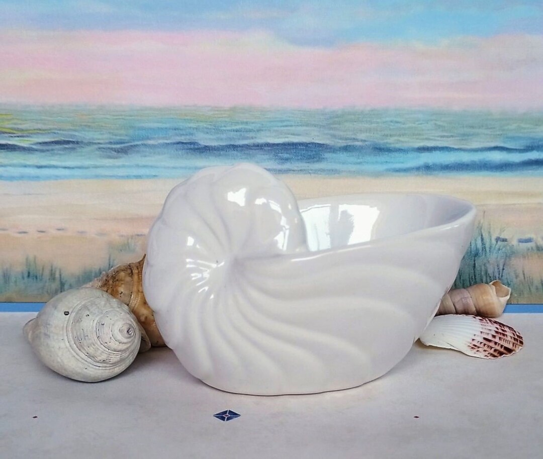 Porcelain Nautilus Seashell Trinket Dish Beach House Decor - Etsy