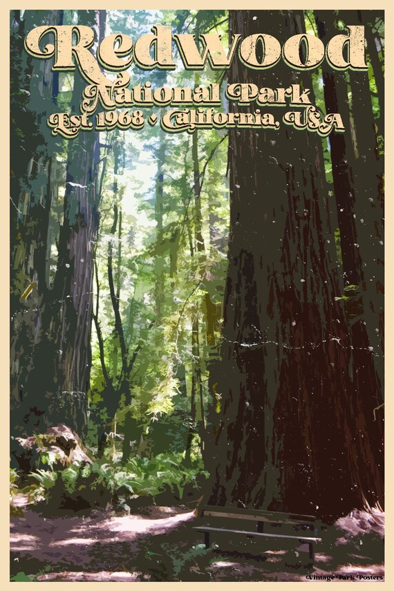 Redwood National Park Digital Download | Etsy